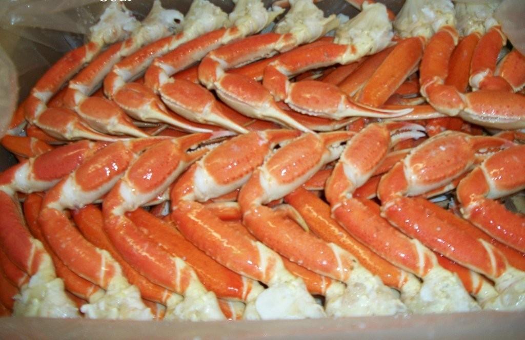 Brine Frozen Snow Crab Sections – Gulf | Victoria Co-operative Fisheries